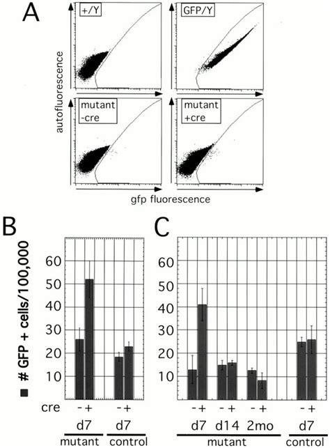 Reactivation Of Gfp In Xist Mutant Fibroblasts Facs® Analysis Of