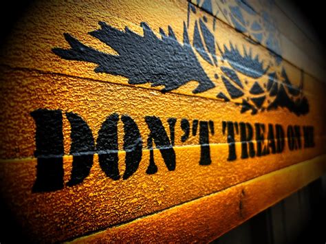 Dont Tread On Me Gadsden Flag Wood Flag Wall Flag Etsy