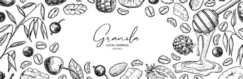 그래놀라 뮤즐리 또는 오트밀 음식 벡터 라벨 템플릿입니다 아침 식사 스케치 과일 견과류 열매 꿀 잉크 스타일 드로잉 시리얼 0명에 대한 스톡 벡터 아트 및 기타 이미지