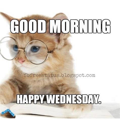 Hilarious Wednesday Memes And Funny Pictures To Brighten Up