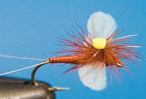 Indicator Spinner Rusty Trockenfliege