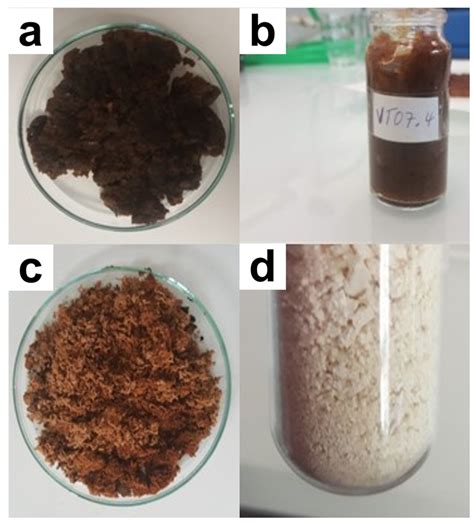 Characterization Of Alginates Of Sargassum From The Archipelago Of Guadeloupe