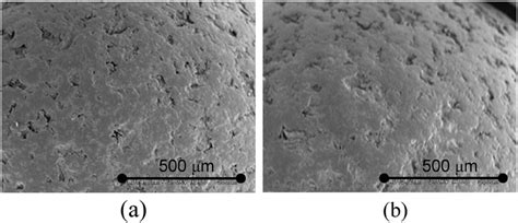 Sem Photograph Of Pp Particle Surface A Without Plasma Treatment Download Scientific
