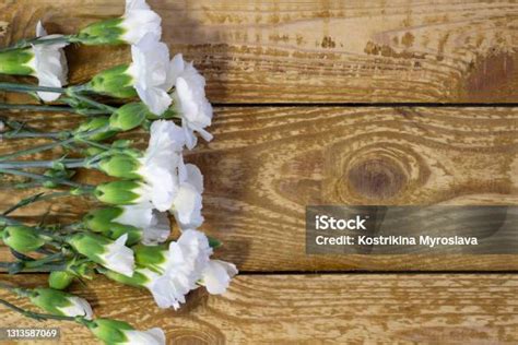 어두운 나무 질감배경 클로즈업에 신선한 아름다운 밝은 흰색 카네이션 개화기에 대한 스톡 사진 및 기타 이미지 개화기 결혼식