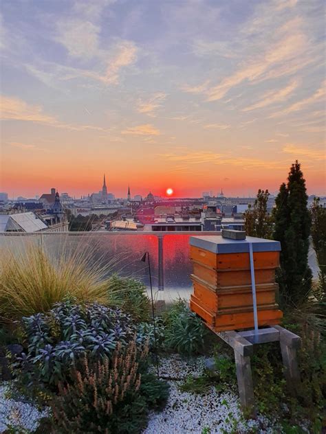 Anna Kogler On Linkedin Guten Morgen Buwog Group Gmbh 🧡