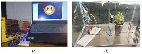 Development Of Computational Thinking Through Stem Activities For The Promotion Of Gender Equality