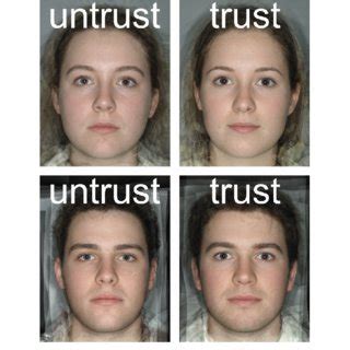 Female And Male Adapting Stimuli Download Scientific Diagram