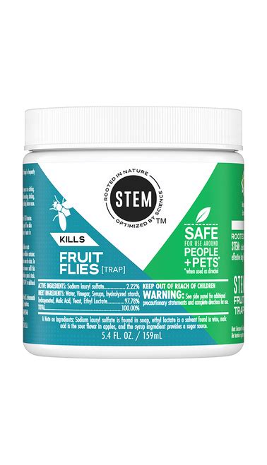 Stem Flying Insects Fan Trap Attracts And Traps