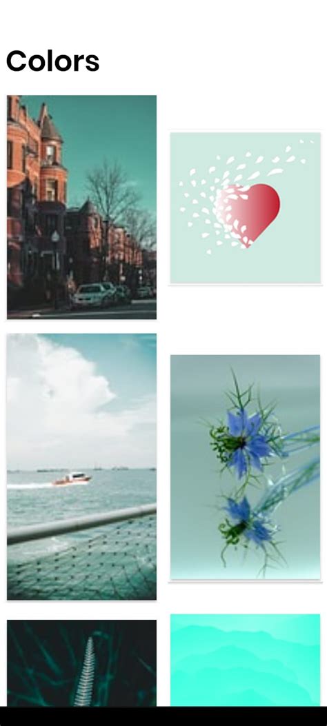 A Simple Gallery App Which Fetches Images From Pixaby API