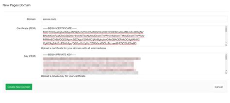 Tutorial For Gitlab Pages Automatic Lets Encrypt Certificates