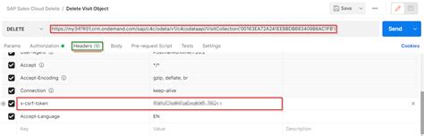Sap Sales Cloud C4c Is Easy Odata Api Delete Requests