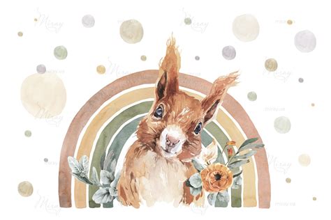 Веселка з білкою фотошпалери купити на замовлення ціни в Україні Miray