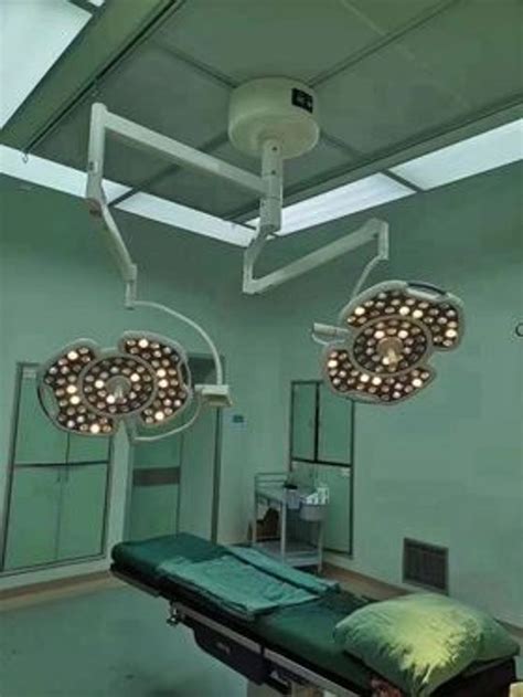 Мэс заслын гэрэл