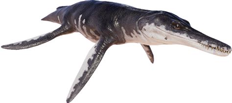 Kronosaurus From Jurassic World Evolution 2 By Danielunicomb On Deviantart