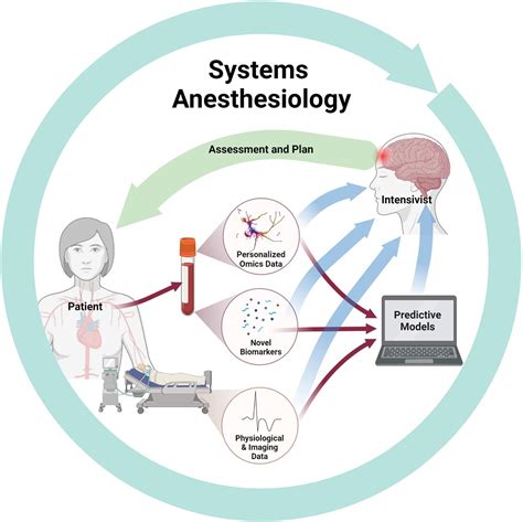 Anesthesia And Analgesia