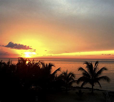 Some Reasons Summer S My Favorite Season Some Summer Photos