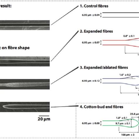 Characteristic Scanning Electron Micrographs Of Laser Treated Of Laser