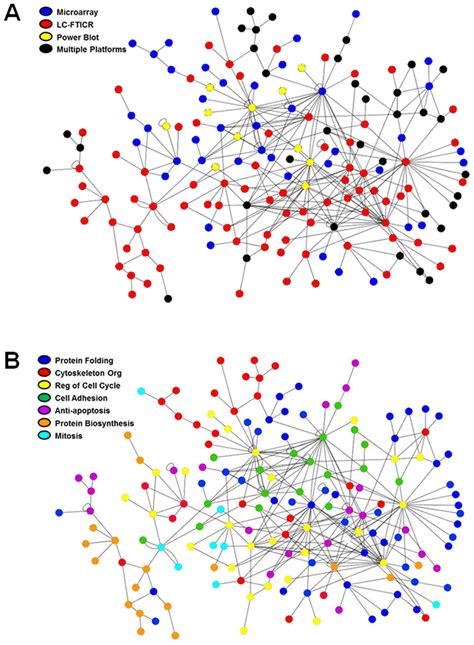 Network Data Sets Network Topology Dataset Hobh