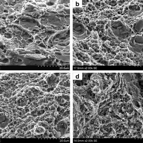 Sem Micrographs Showing Fracture Surface Characteristics Of Tensile