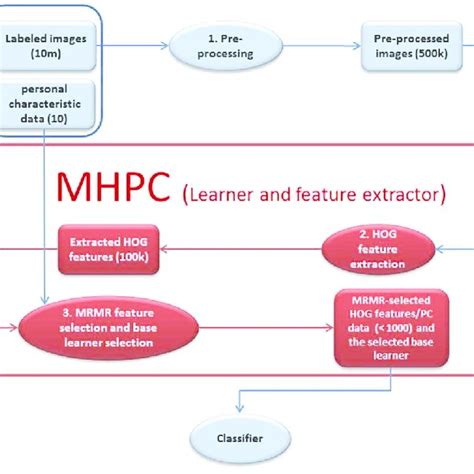 Preprocessing Pipeline The Preprocessing Pipeline For Functional And Download Scientific