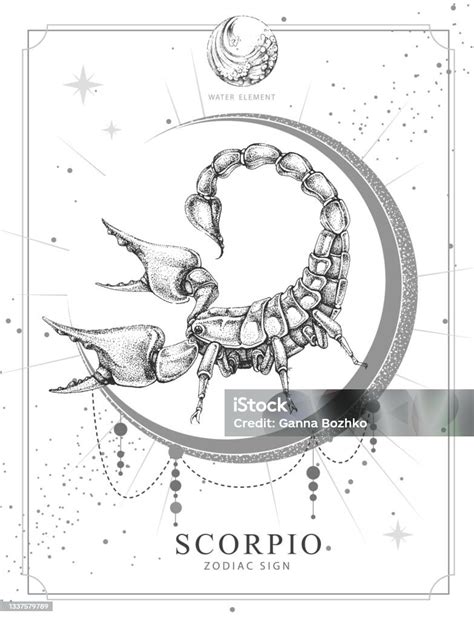 점성술 전갈 자리 조디악 기호현대 마법 마술 카드 사실적인 손 그리기 전갈 일러스트레이션 점성술에 대한 스톡 벡터 아트 및 기타