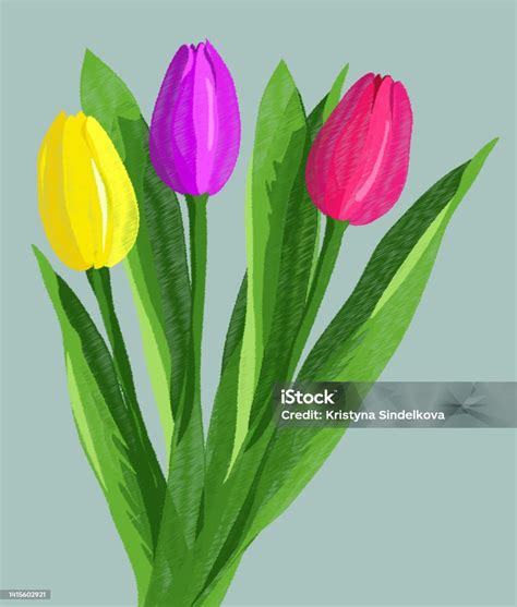 손으로 그린 빨간색 자주색 및 노란색 튤립의 꽃다발과 파란색 배경에 고립 된 녹색 선반 컬러 칼코알 빈티지 스타일의 벡터 일러스트레이션 스케치 인사말 카드 결혼식 어머니