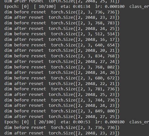Is Padding Being Done To Convert All Image Tensors To Same Size Before Passing Through The Model
