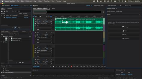 how to export and import comments into audition notetracks audio