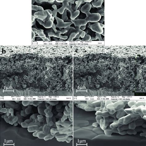X Ray Diffraction Patterns Of A Ysz Electrolyte Pellet B