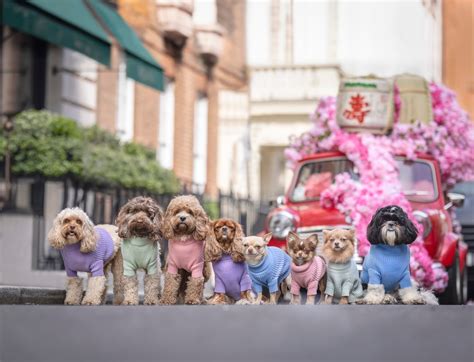 Fiona Harrison A Fiona Harrison A Voice In A Million