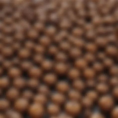 Understanding Logarithms Exploring Log10 1