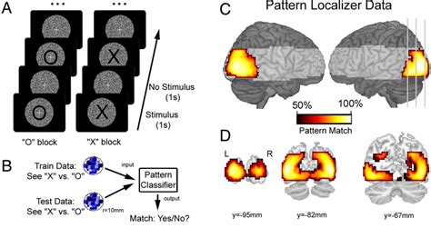 The Pattern Localizer Task Identified Target Specific Neural