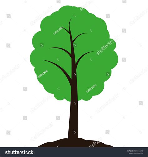 Tree Leaves Template Logo Design Badges Stock Vector Royalty Free