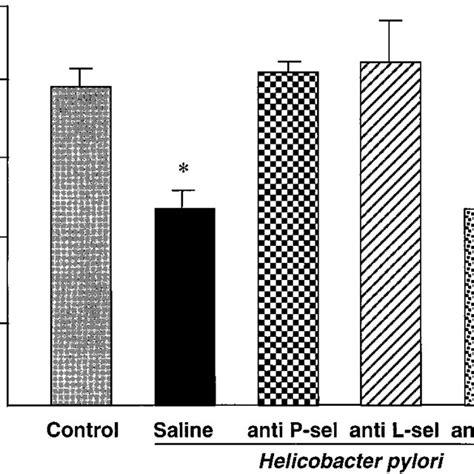 Leucocyte Platelet Aggregate Observed Under Clear Field Microscopy In A