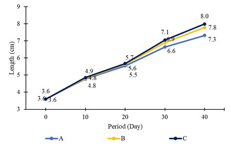 Length Growth In Cantik Grouper Nursery With A Flowthrough B