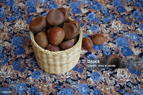 꽃 프린트와 블루 베이 지 꽃무늬 원단에 작은 밀 짚 바구니에 밤 0명에 대한 스톡 사진 및 기타 이미지 0명 가을 갈색 Istock