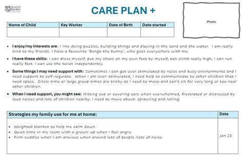 Care Plans Early Level Portal