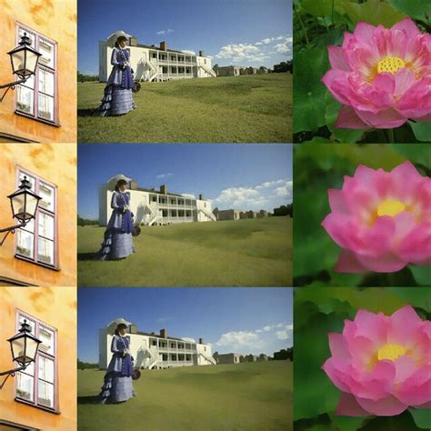 Comparison With Bilateral Texture Filter Top Input Images Middle Download Scientific