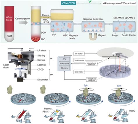 Photo Circulating Tumor Cellsctc Separation Using Continuous Centrifugal Microfluidicsccm