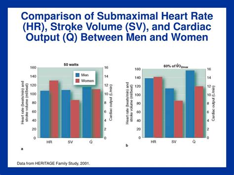 PPT Sex Differences In Sport And Exercise PowerPoint Presentation Free Download ID 3321604