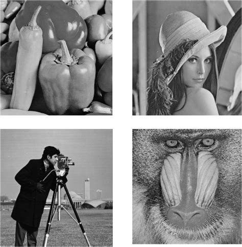 An Improved Edge Detection Algorithm For X Ray Images Based On The Statistical Range Heliyon