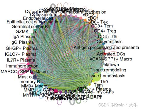 （七）单细胞数据分析——cellchat细胞间通讯差异分析 Csdn博客