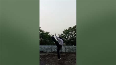 02365 365dayschallenge 2025 Viralvideo Viralshort Challange