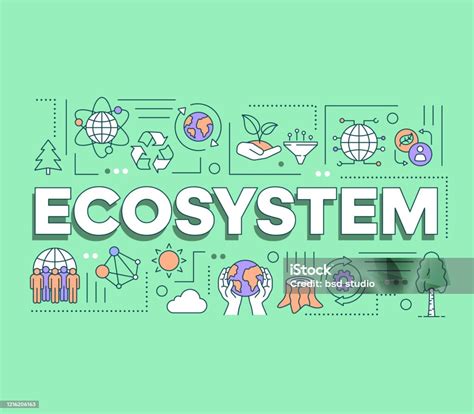 생태계 단어 개념 배너 프리젠 테이션 웹 사이트 지속 가능한 생활 자연과 야생 생활의 보호 선형 아이콘과 격리 된 문자 타이포그래피 아이디어 벡터 개요 그림 0명에 대한