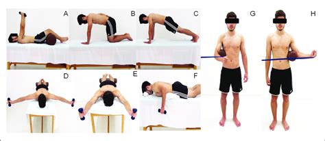 Rotator Cuff Exercises With Dumbbells Shoulder Exercises Archives