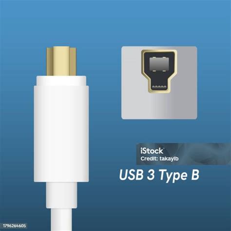 Usb 3 Type B Cable Plugs And Socket Isolated On Blue Background Eps10