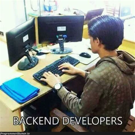 Backend Developer Programmerhumor Io