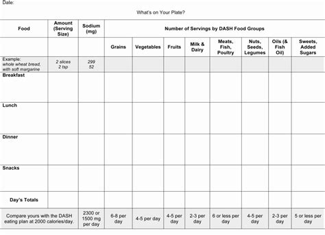 Daily Food Intake Chart Template