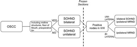 Clinical Algorithm In Neck Dissections Nds For Oral Squamous Cell