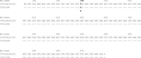 alignment of the exon 4 nucleotide sequences of hla‐c 03 04 01 01 and